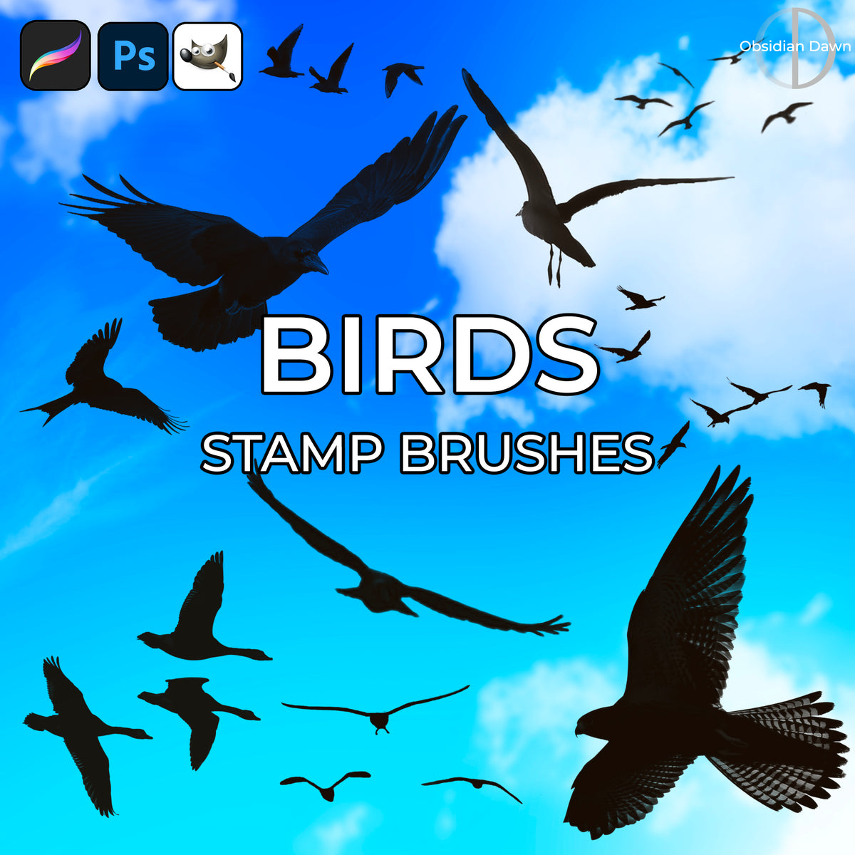 Birds Brushes - Photoshop, Procreate, GIMP — Obsidian Dawn